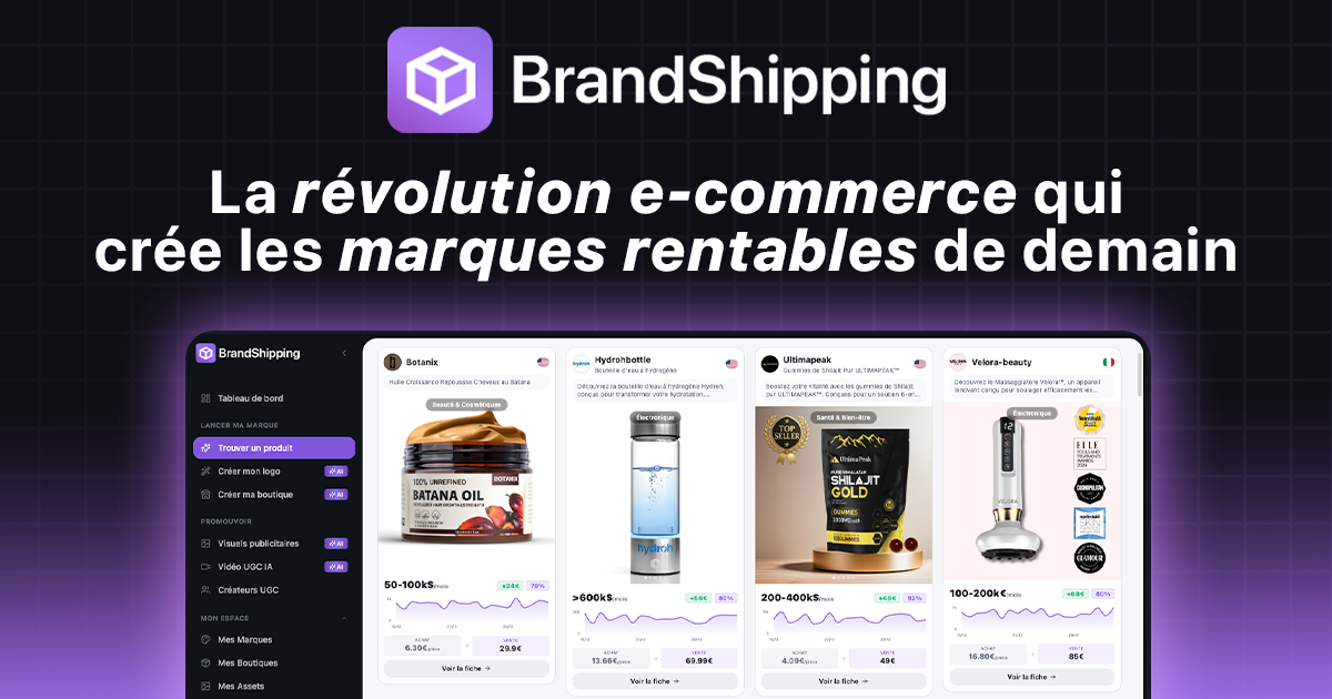 Qu'est-ce que BrandShipping ? La plateforme e-commerce IA